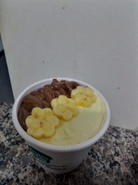 Frutos de Goiás Comodoro - Vale Up Food