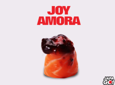 JAPA GO SUSHI - Del Match Delivery